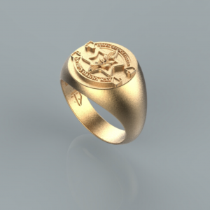 14k gold IDF icon ring, israel defence symbol, Israel jewelry ...